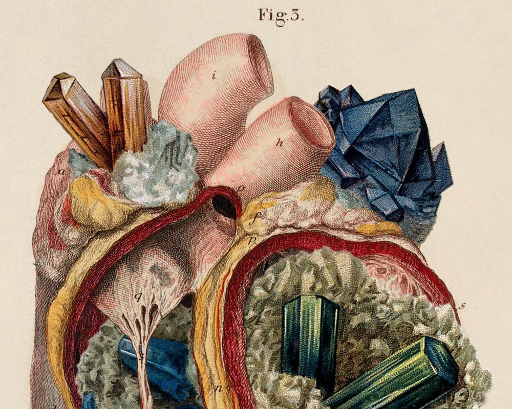 Crystal Heart Art Print, Vintage Anatomical Heart, Crystals ...