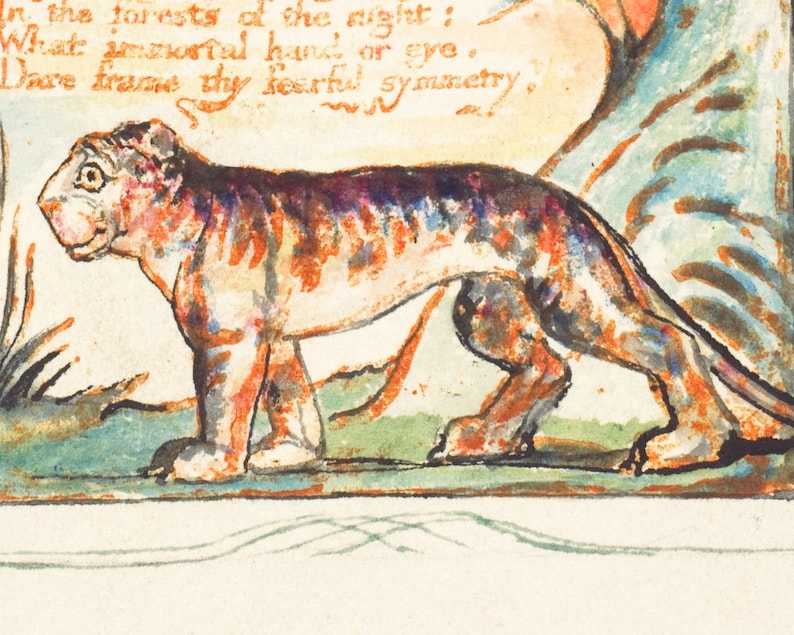 The Tyger William Blake Art Print Tiger Poem Songs of - Etsy Canada