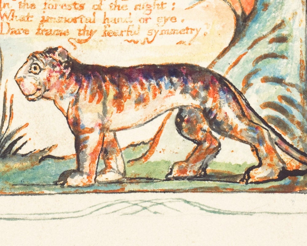 The Tyger William Blake Art Print Tiger Poem Songs of | Etsy