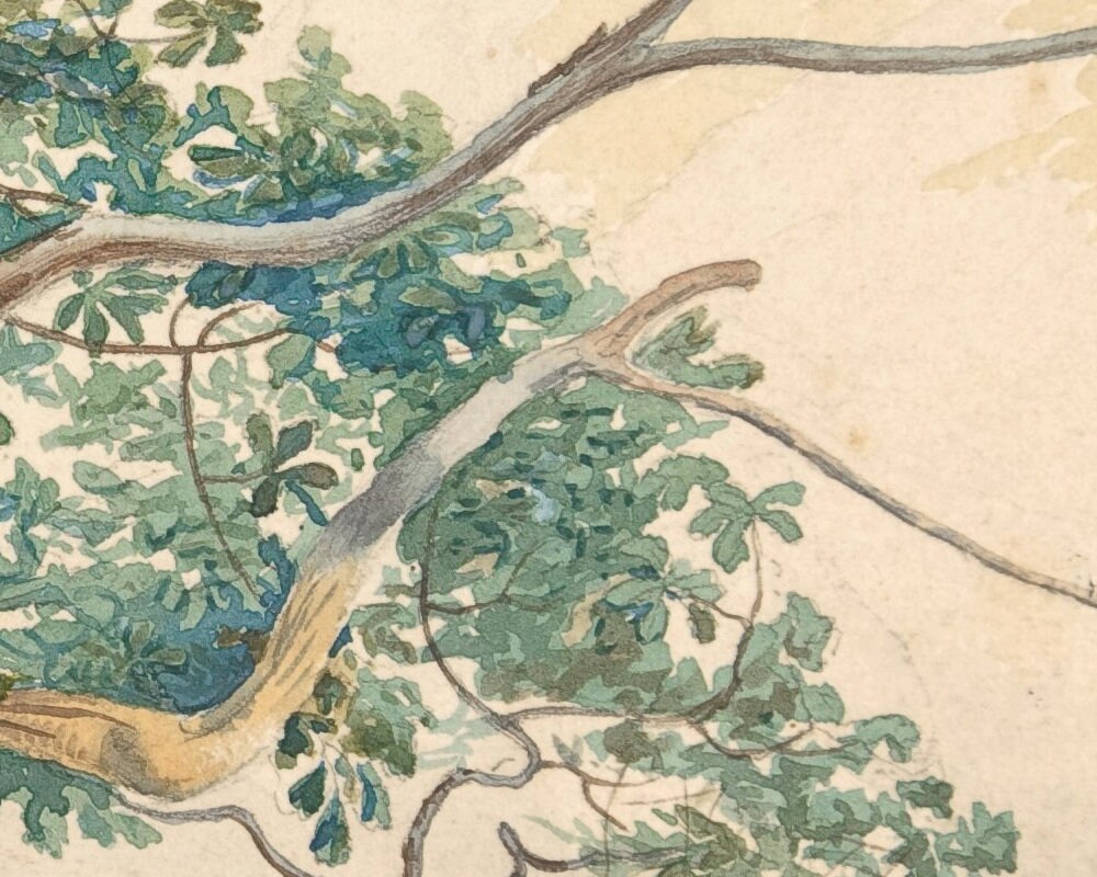 Antique Tree Art Print Vintage Tree Branches Watercolor | Etsy