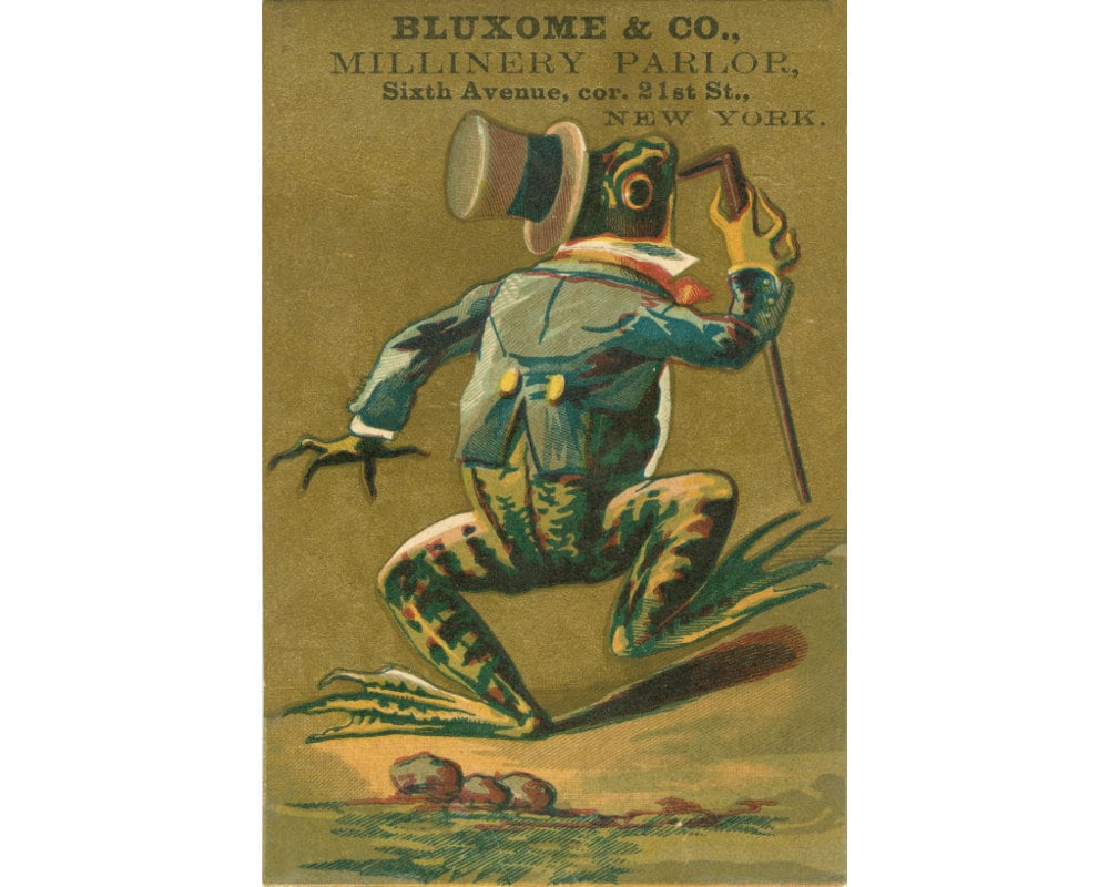 Set of Two Frog Art Prints Antique Frog Art Vintage Frogs - Etsy