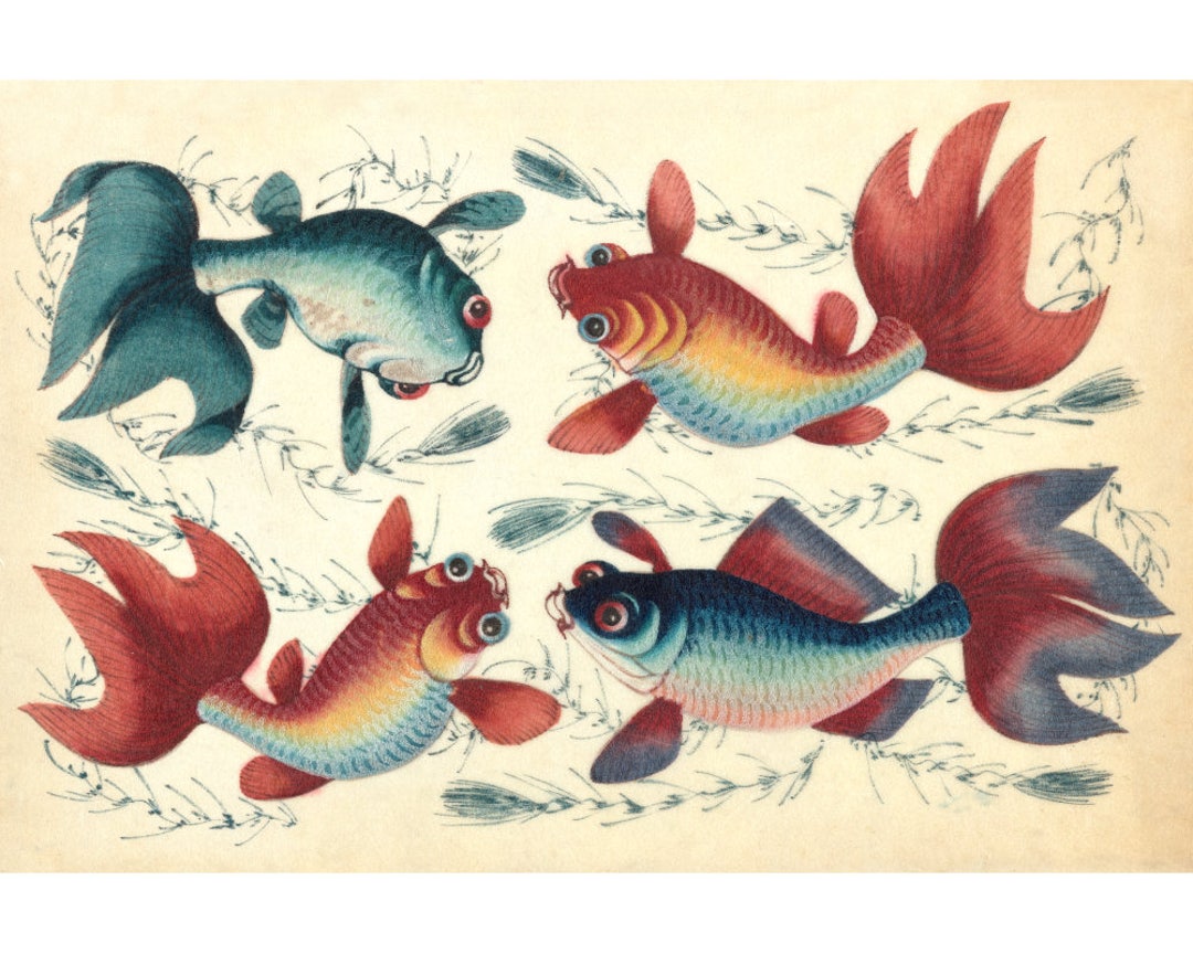 Chinese Fish Painting Art Print, Koi, Goldfish, Betta, Carp, Aquarium ...