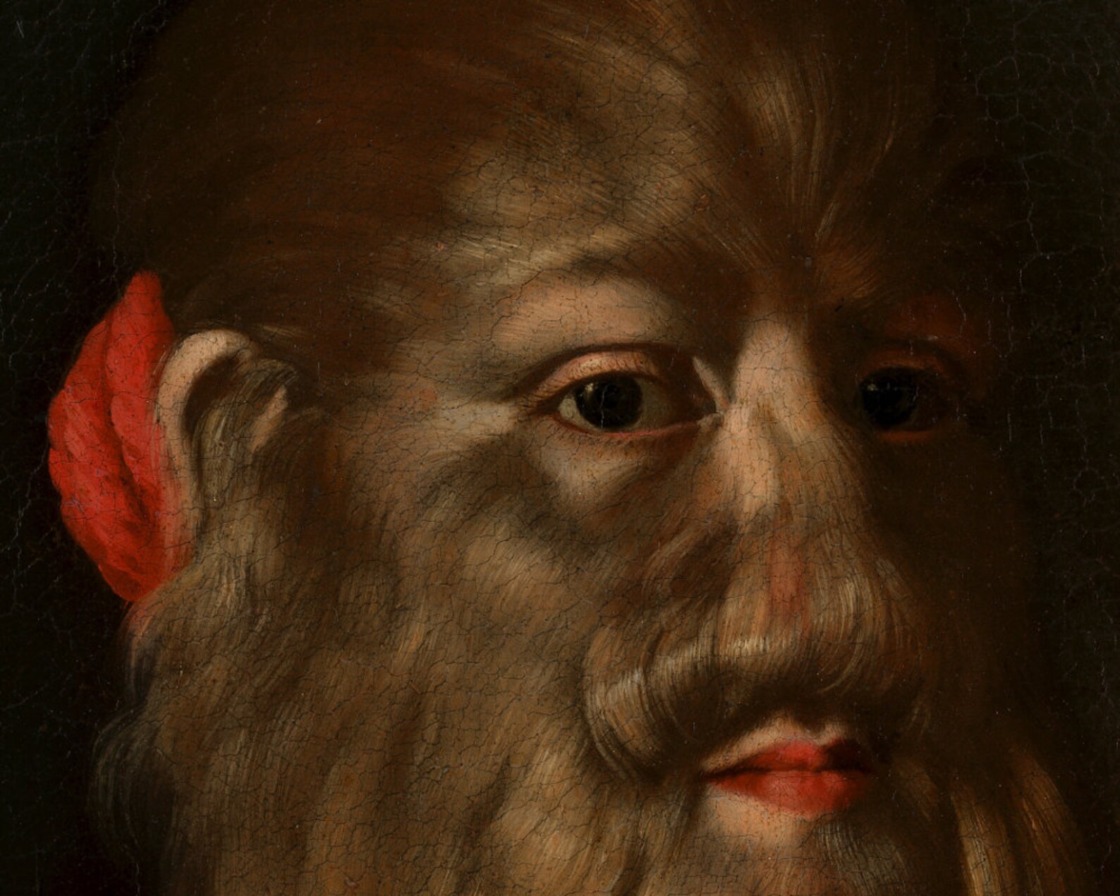 Portrait of Barbara Van Beck, Bearded Lady Art Print, Wolf Woman ...