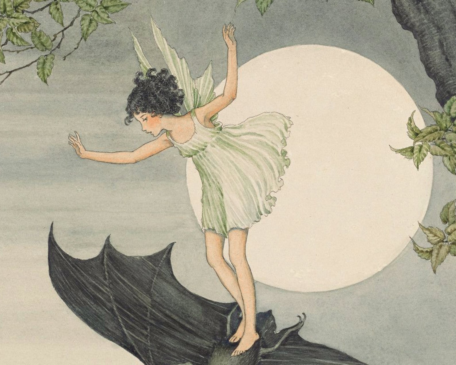 Vintage Fairy Riding a Bat Art Print Ida Rentoul Outhwaite - Etsy