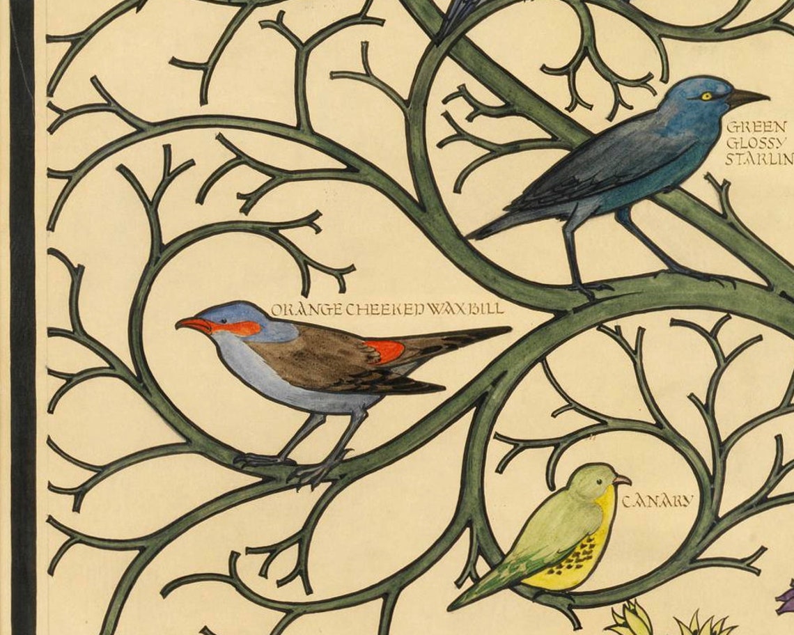 Songbirds Art Print Tree of Life Tropical Bird Painting | Etsy