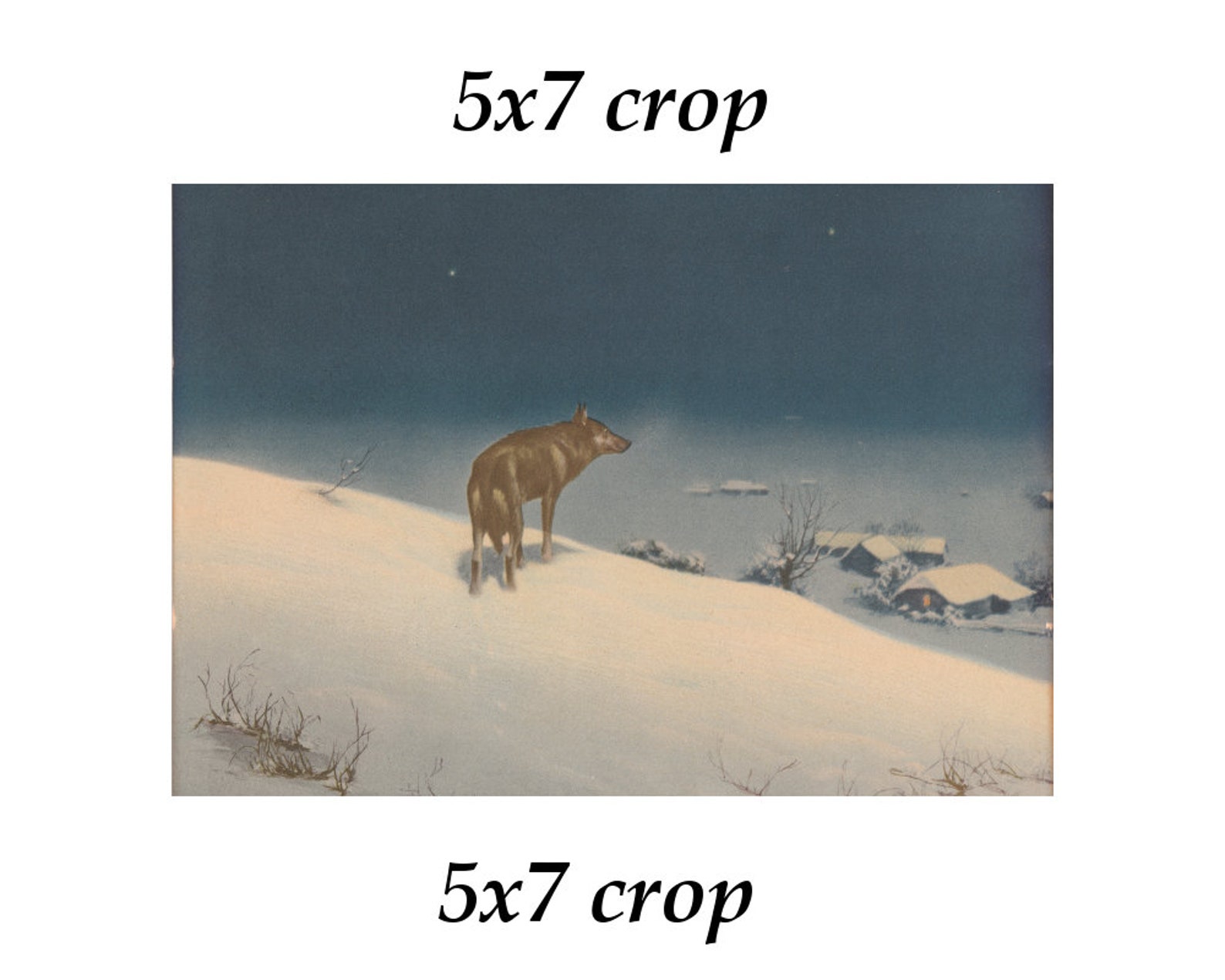 Lone Wolf Art Print Vintage Wolf Art Antique Wolf Painting - Etsy