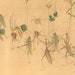 Procession of Insects Art Print, Antique Japanese Silk Scroll ...