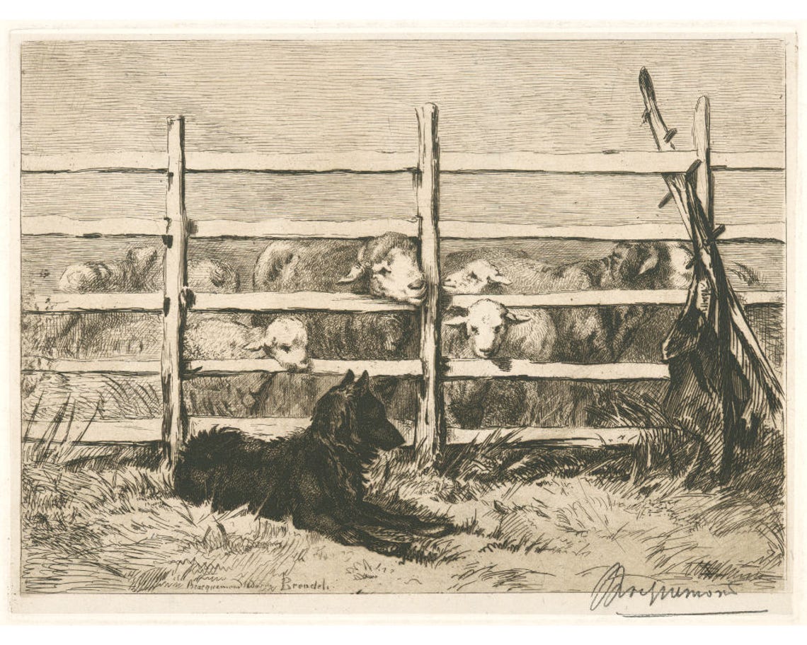 Shepherd Dog Art Print, Sheep Art Print, Farm Art Print, Farmhouse ...