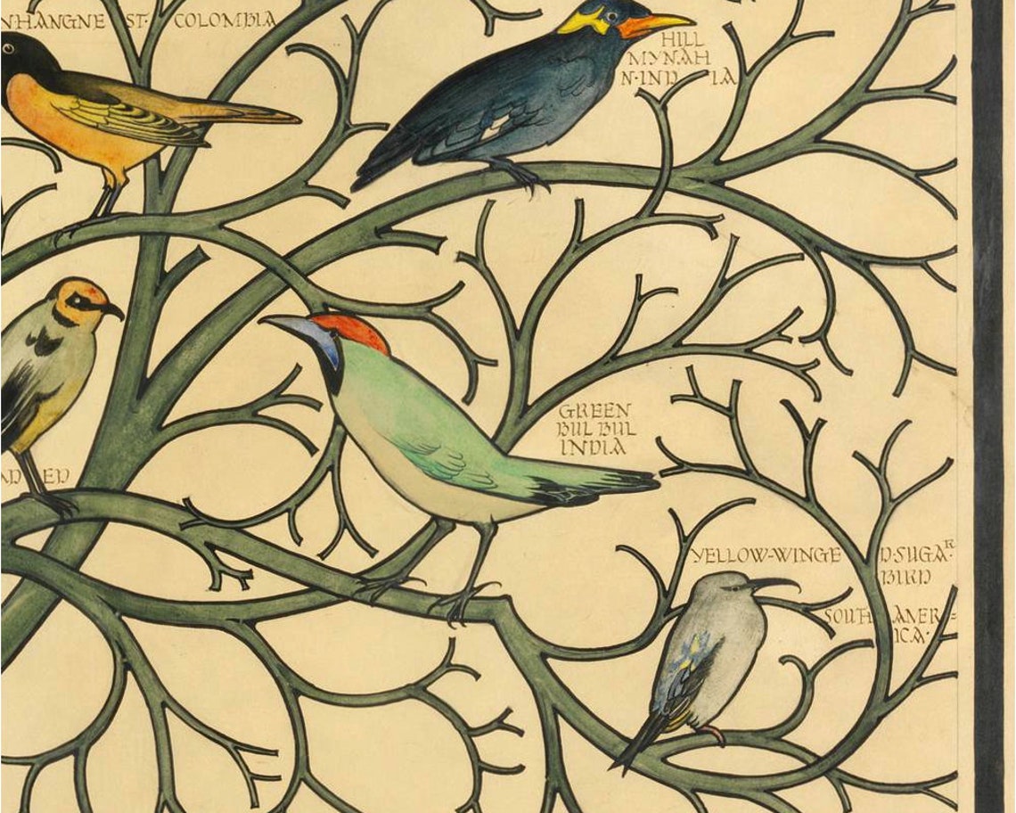 Songbirds Art Print Tree of Life Tropical Bird Painting | Etsy