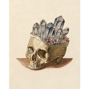 Crystal Skull Art Print, Memento Mori Wall Art, Vintage Crystals ...