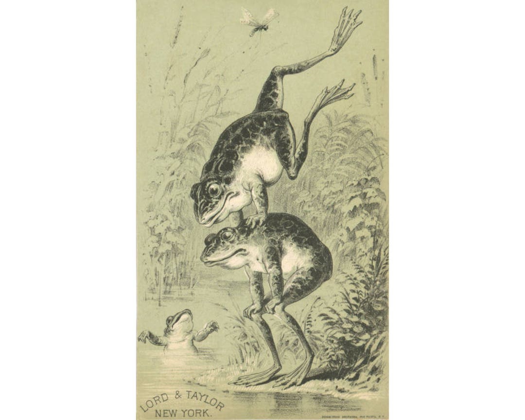 Leap Frog Art Print, Antique Frogs Illustration, Storybook Frogs ...
