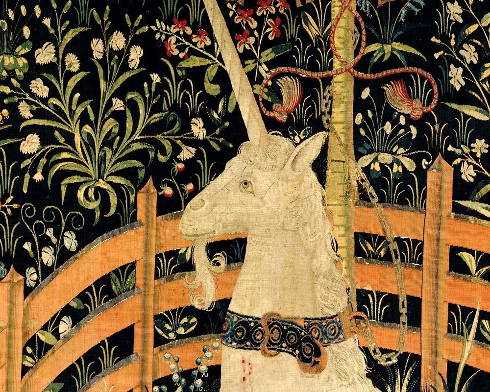 Unicorn Art Print Unicorn Wall Art Unicorn in Captivity - Etsy