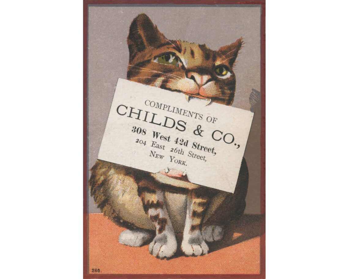 Cat Art Print Cat Advertisement Art for Children Cat - Etsy