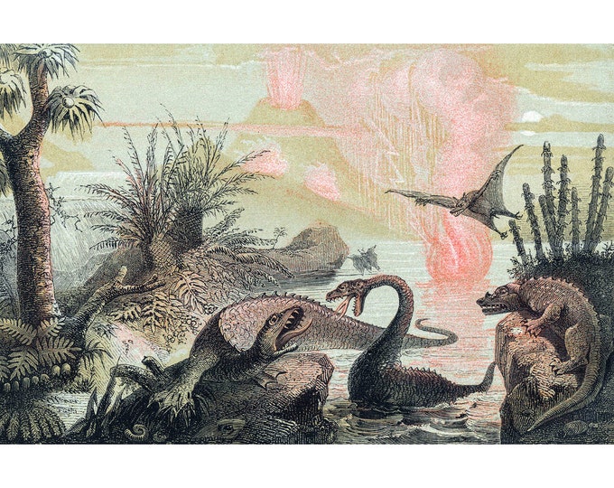 Pteranodon Art Print Vintage Dinosaur Painting Antique - Etsy