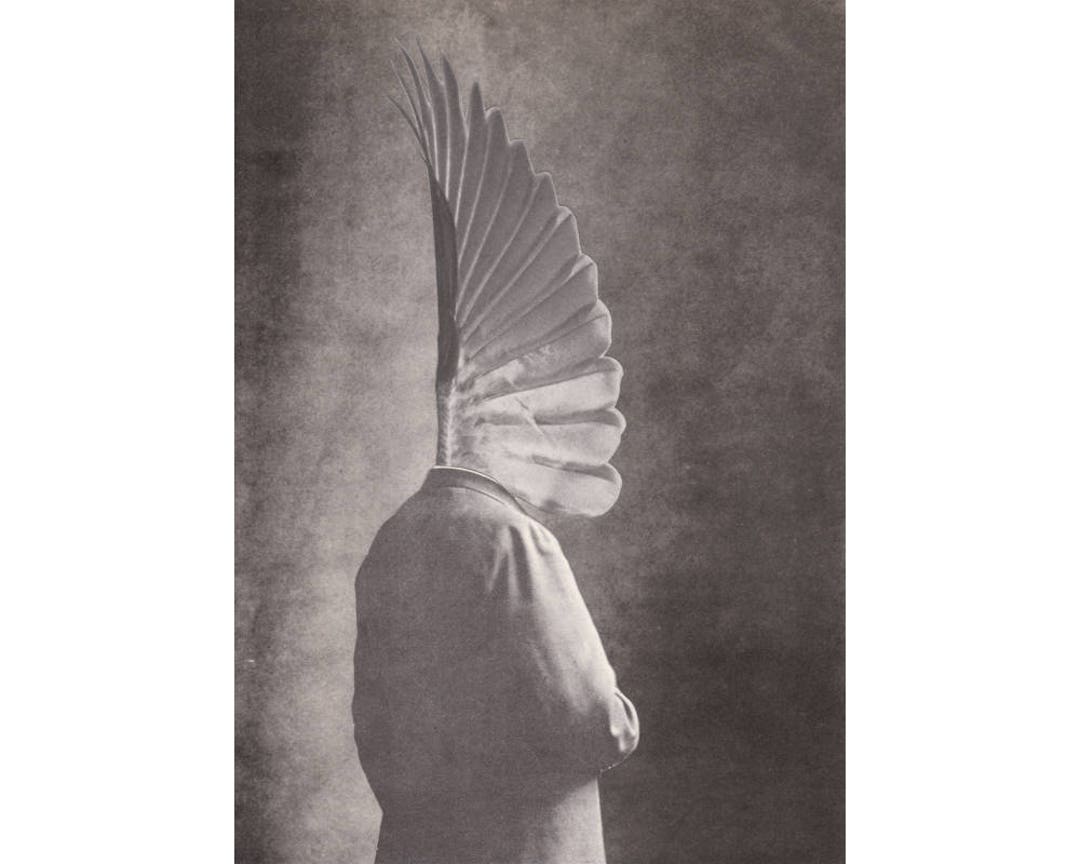Surreal Portrait Art, the Uselessness, Man, Wing, Black and White ...