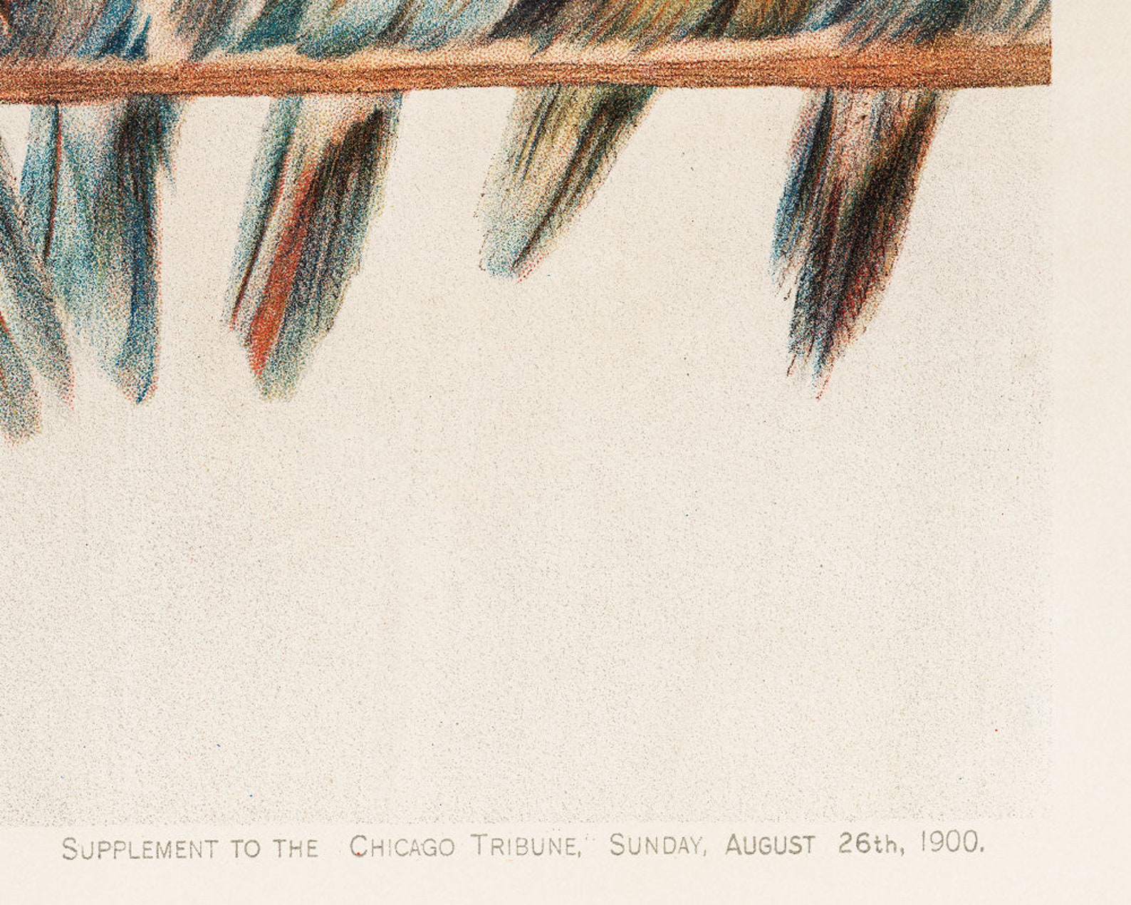 Songbirds Art Print, A Perch of Birds by Hector Giacomelli, Bird Lover ...