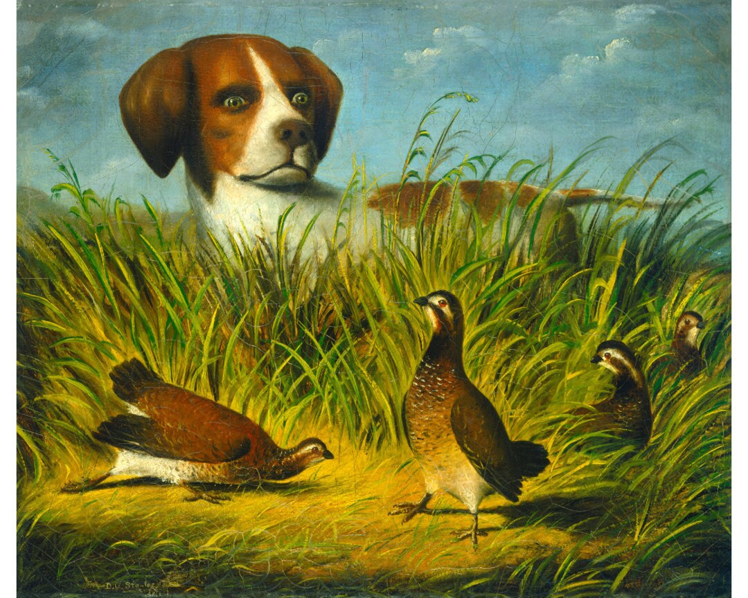 Pointer Dog Art Print, English Pointer Painting, Antique Dog Painting ...
