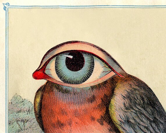 Strange Vintage Animal Drawings