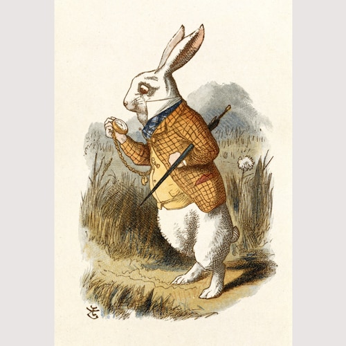 White Rabbit Alice in Wonderland Art Print Sir John Tenniel - Etsy