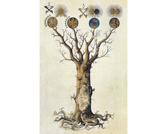 Philosophical Tree Art Print Alchemical Tree of Knowledge - Etsy