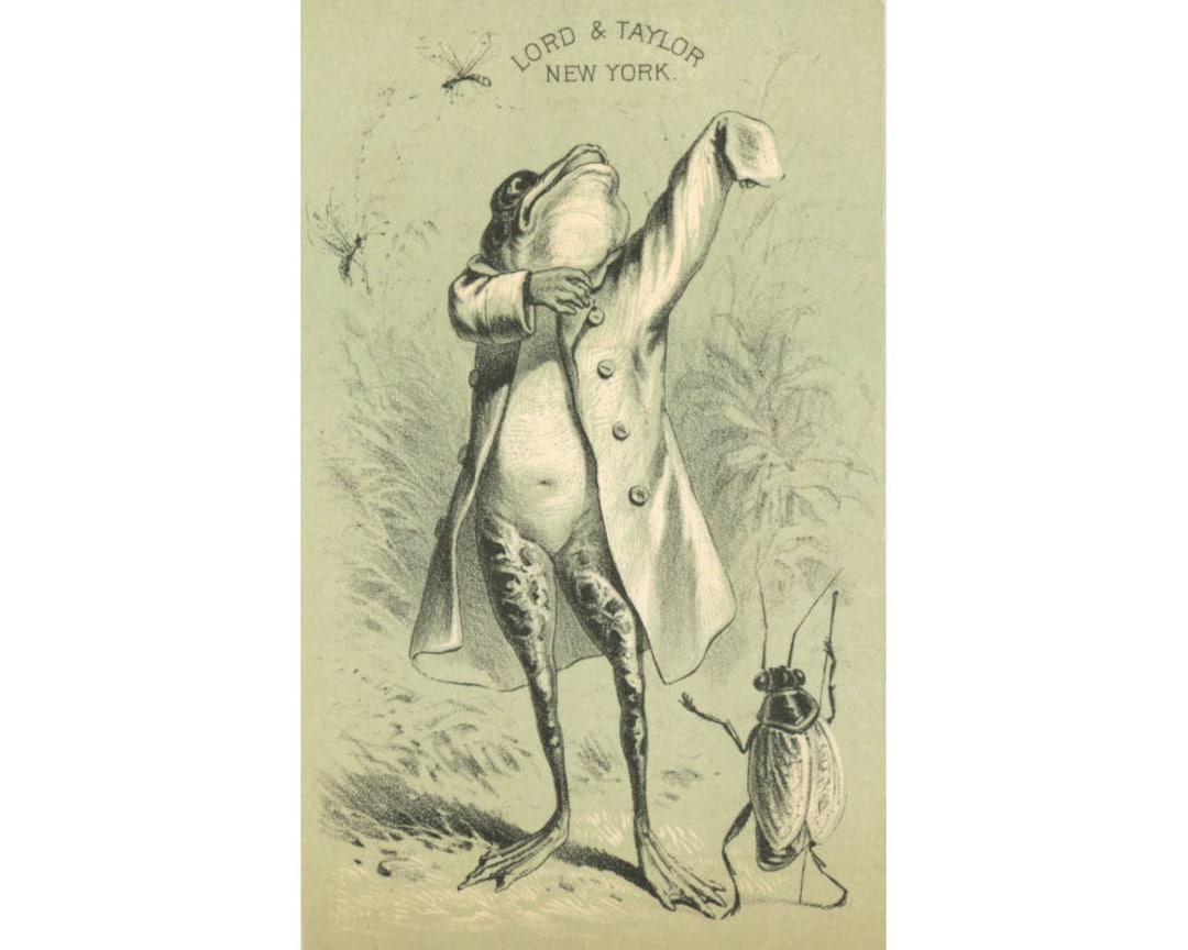 Vintage Frog Art Print, Antique Frog Illustration, Storybook Art, Art ...