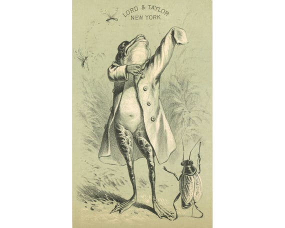 Vintage Frog Art Print Antique Frog Illustration Storybook - Etsy