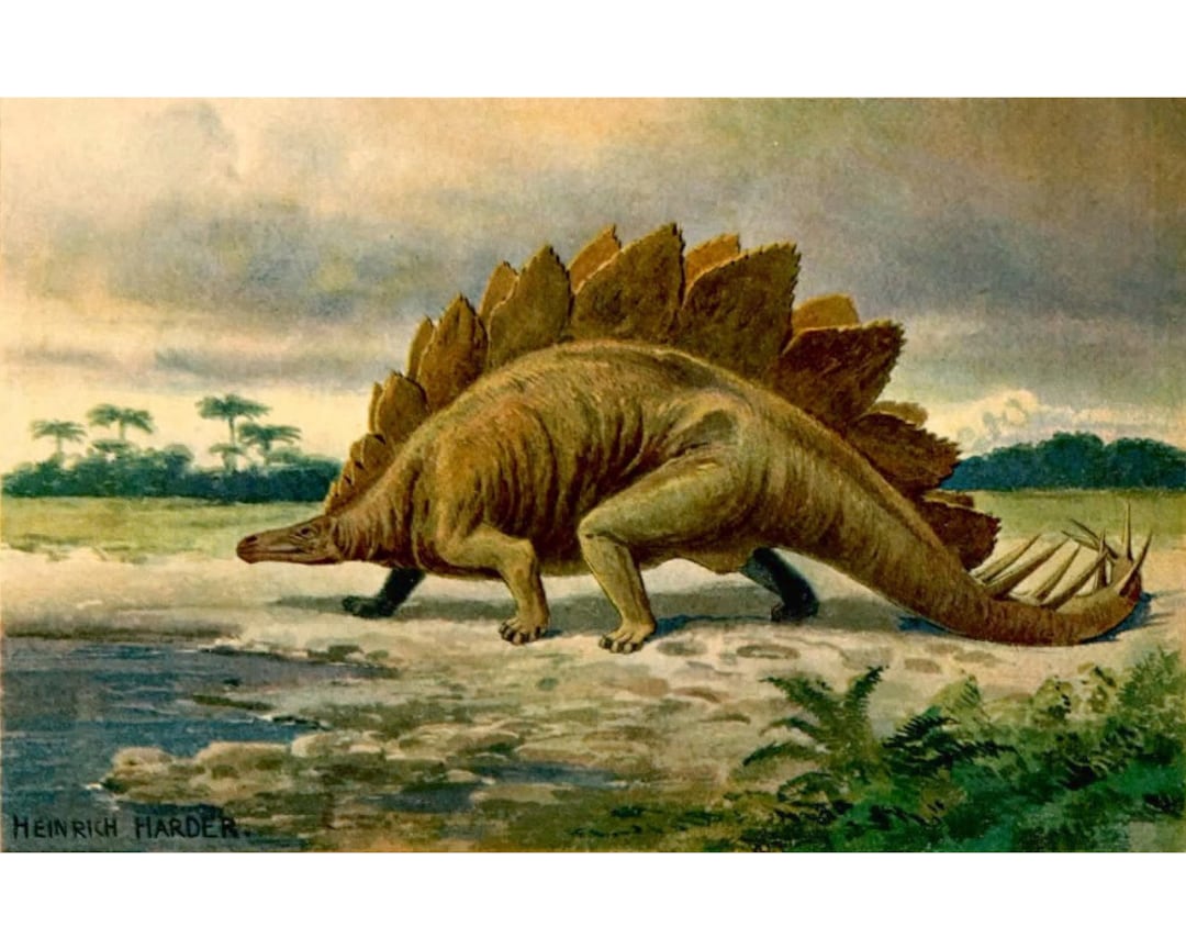 Stegosaurus Painting
