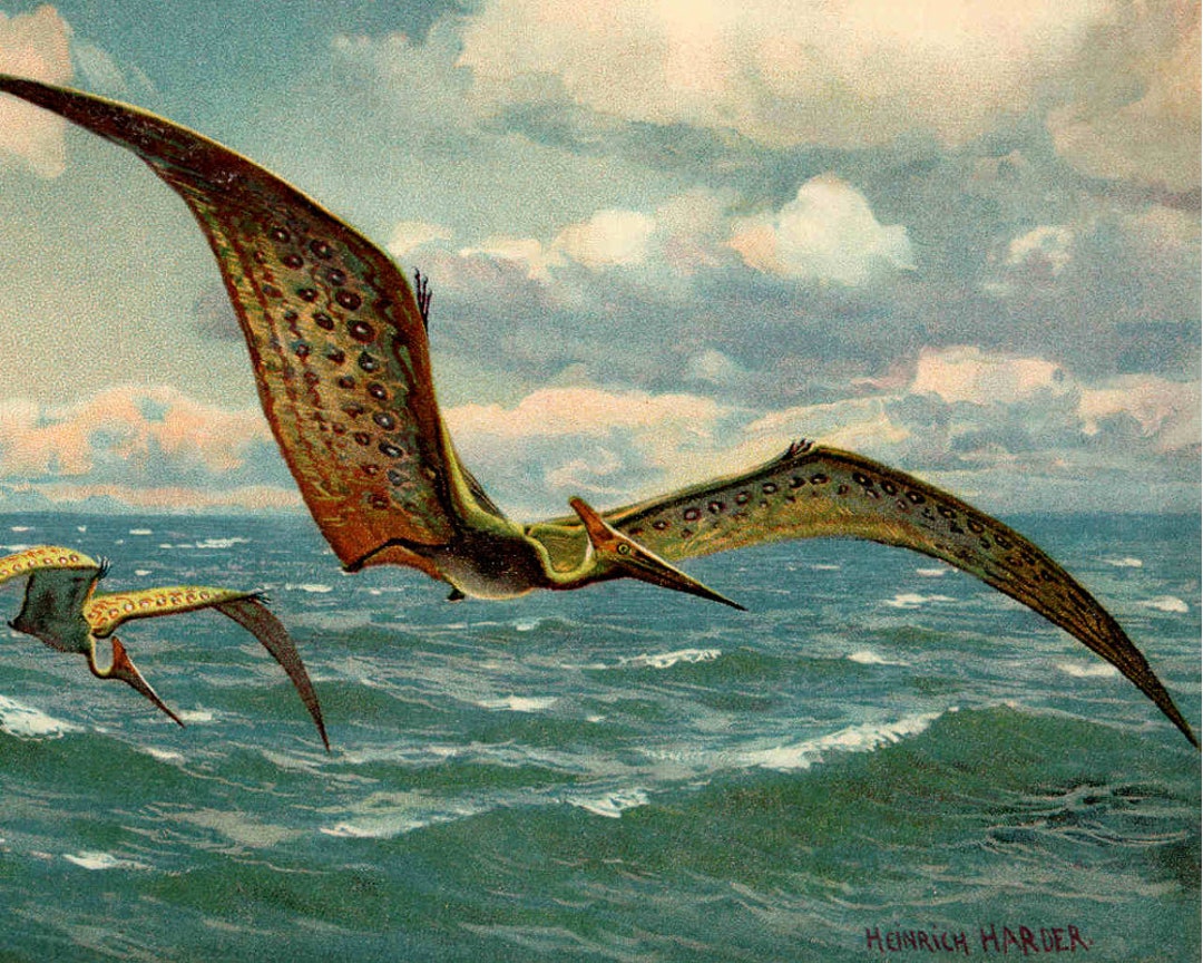 Pteranodon Art Print, Vintage Dinosaur Painting, Antique Dinosaur Wall ...