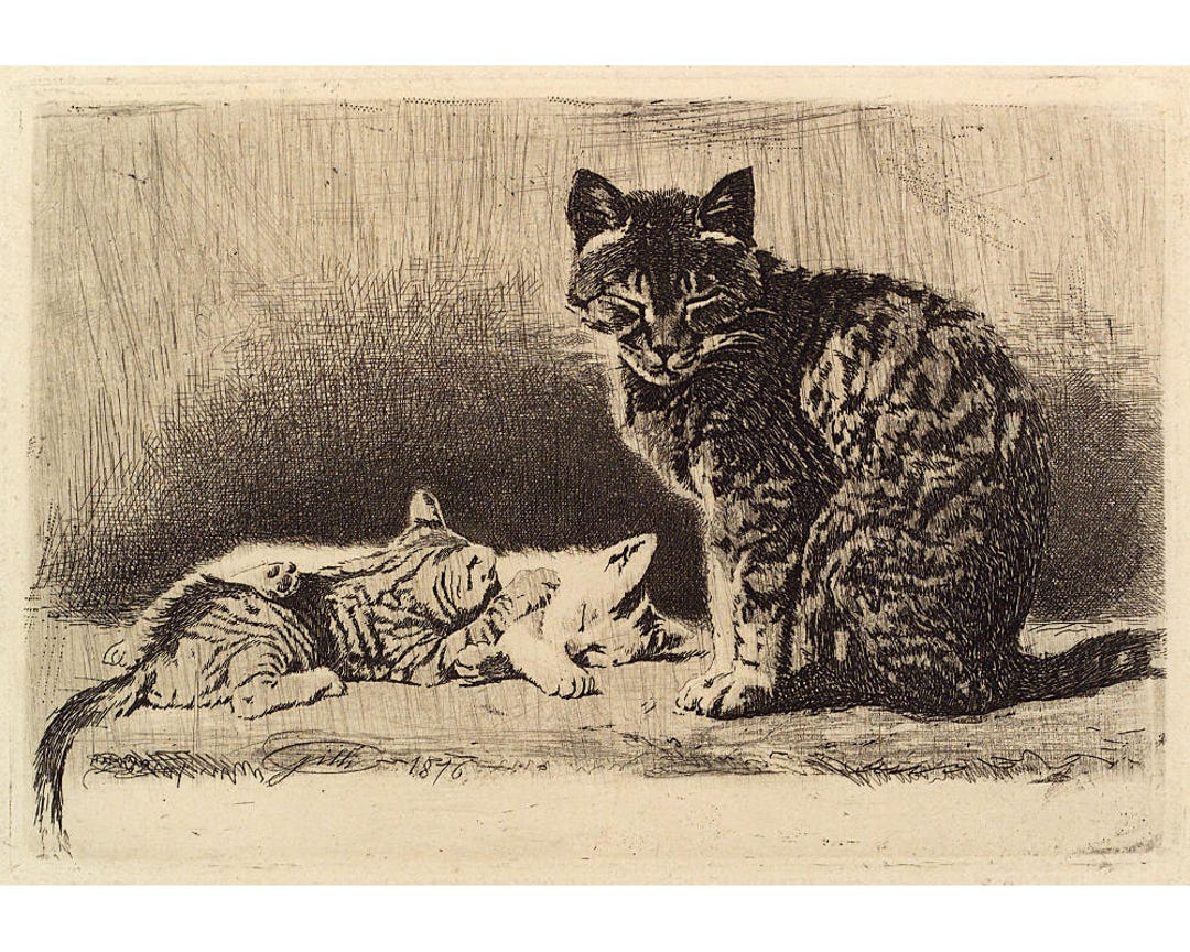 Antique Cat Etching, Cat Art Print, Vintage Cat Art, Cat Wall Art ...
