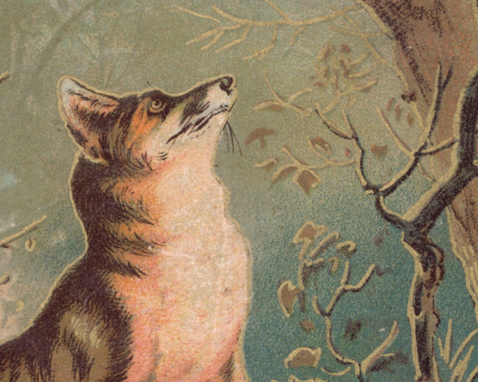 Old Fable Art Print Vintage Aesop's Fables Illustration | Etsy