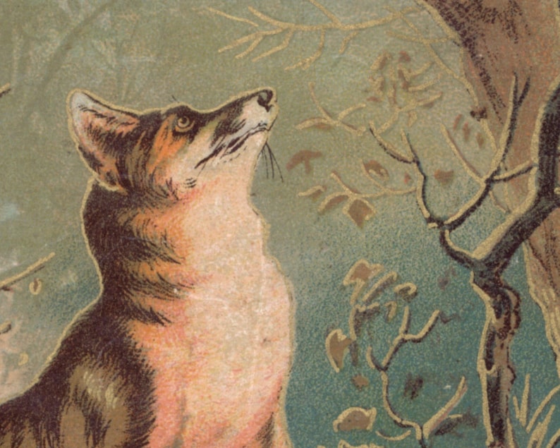 Old Fable Art Print Vintage Aesop's Fables Illustration - Etsy