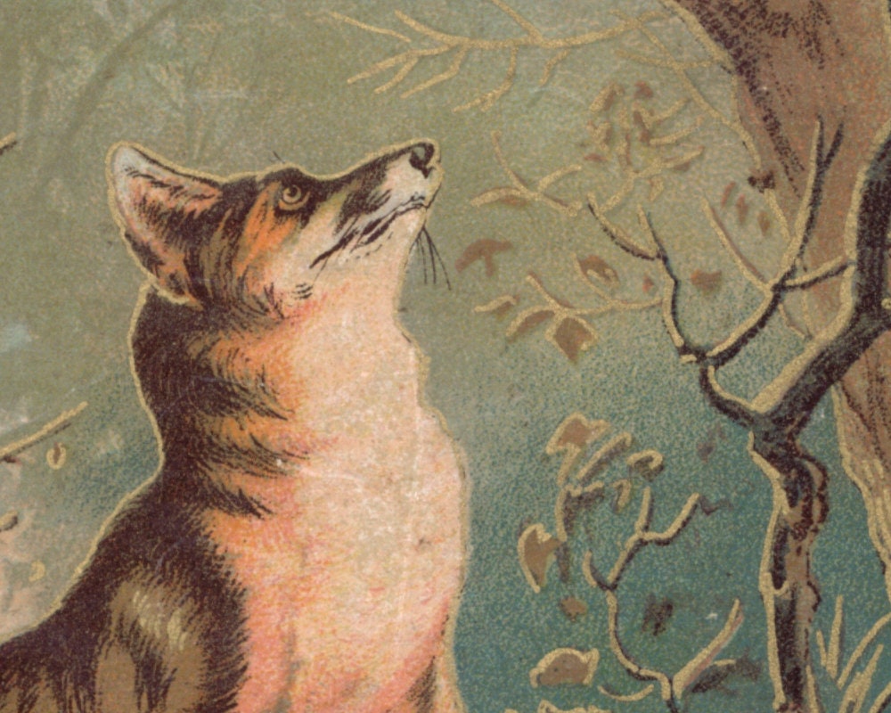 Old Fable Art Print Vintage Aesop's Fables Illustration | Etsy