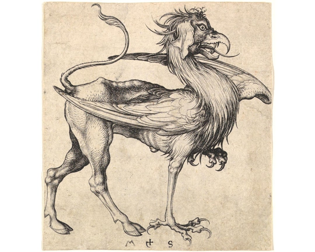 Gryphon Drawings