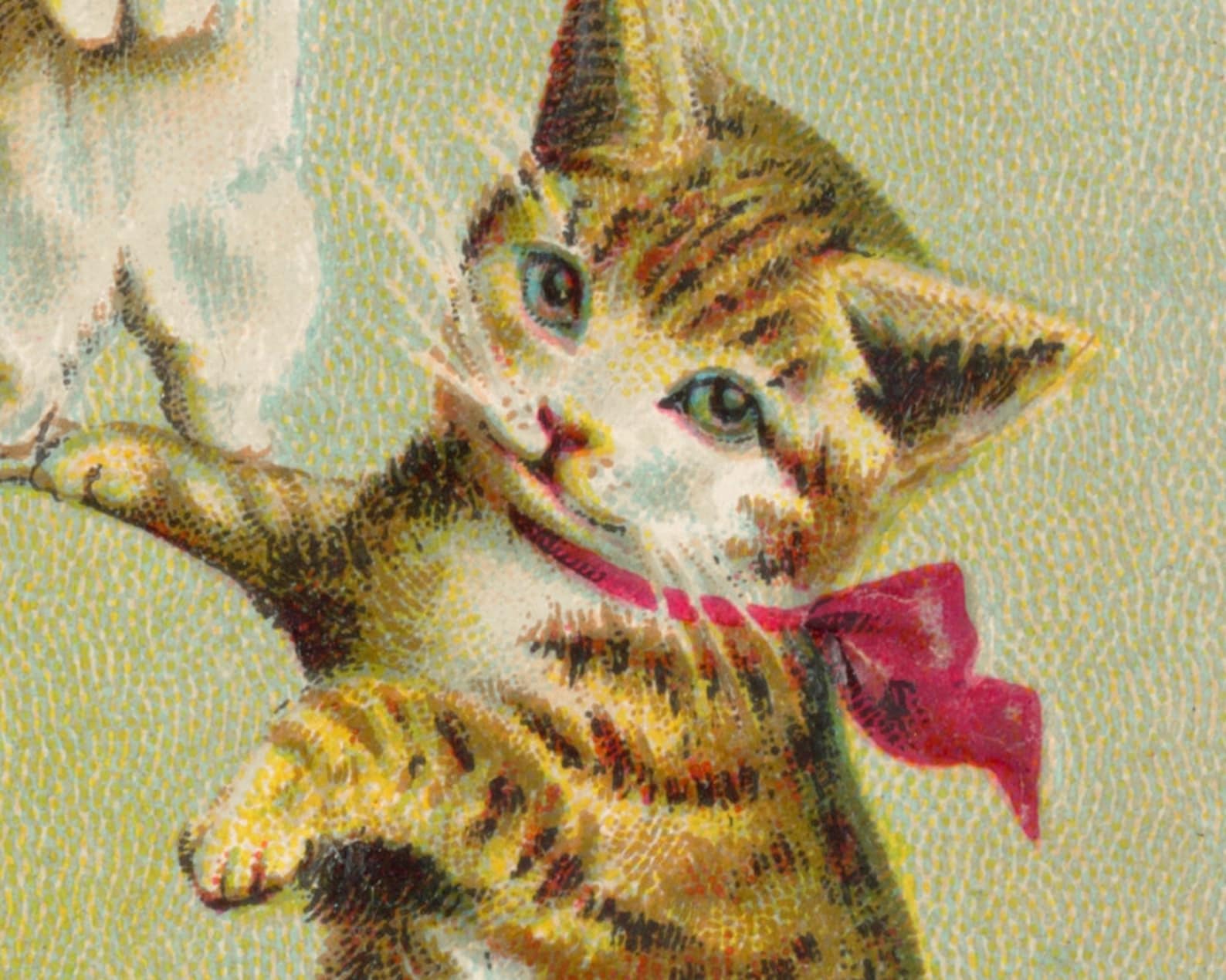 Cute Vintage Cats Art Print Antique Victorian Kittens Wall - Etsy