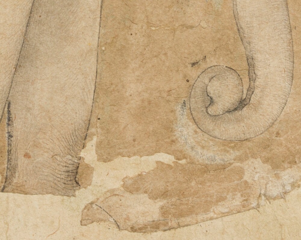 Royal Indian Elephant art print, Antique Mughal empire painting ...