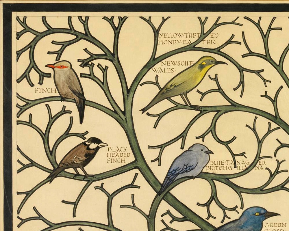 Songbirds Art Print Tree of Life Tropical Bird Painting - Etsy UK