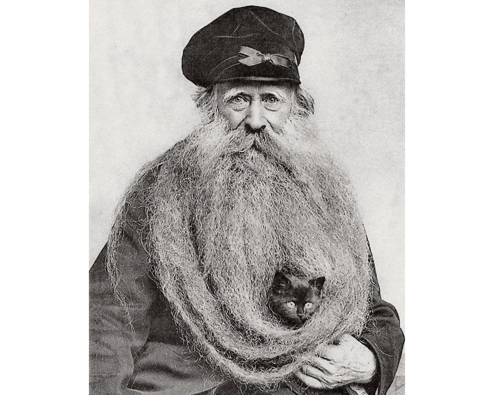 Cat Beard Drawing