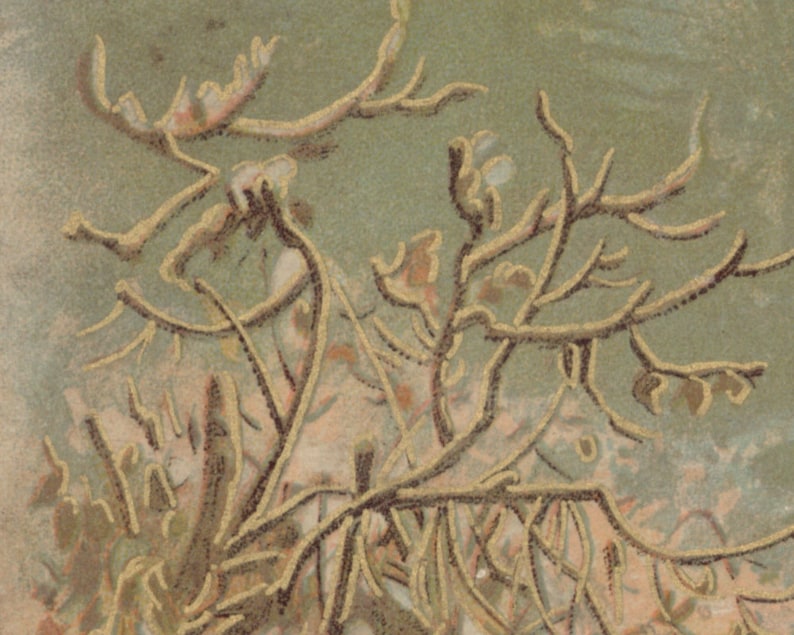 Old Fable Art Print Vintage Aesop's Fables Illustration | Etsy