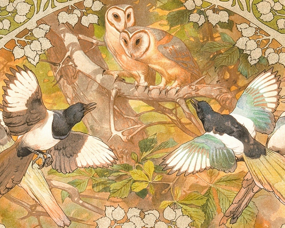 Magpies and Barn Owls Art Print Art Nouveau Birds Design - Etsy