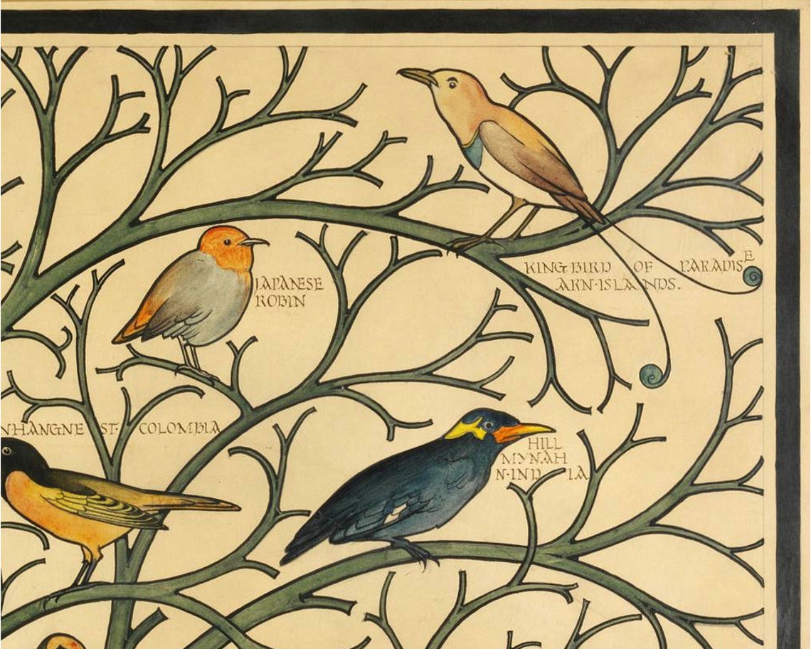 Songbirds Art Print Tree of Life Tropical Bird Painting | Etsy