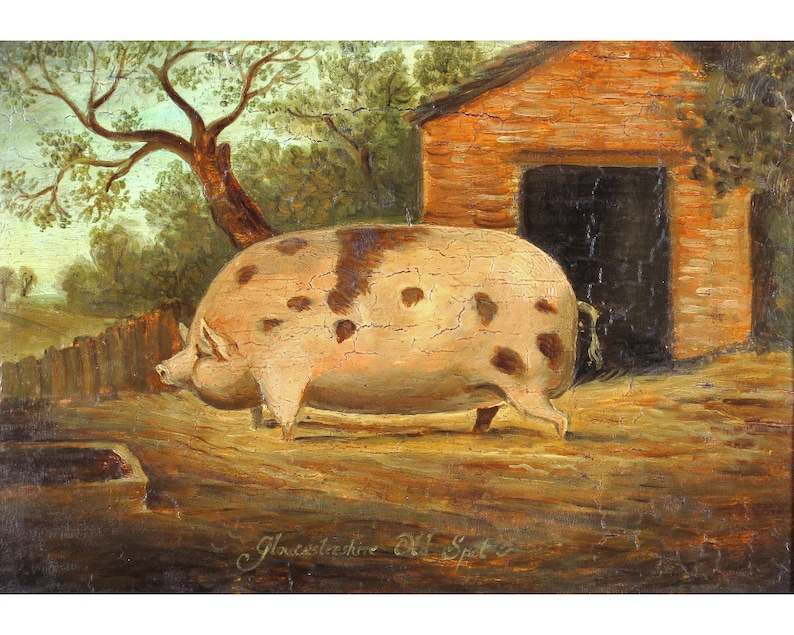 Folk Art Pig Painting Gloucester Old Spot Antique Farm - Etsy