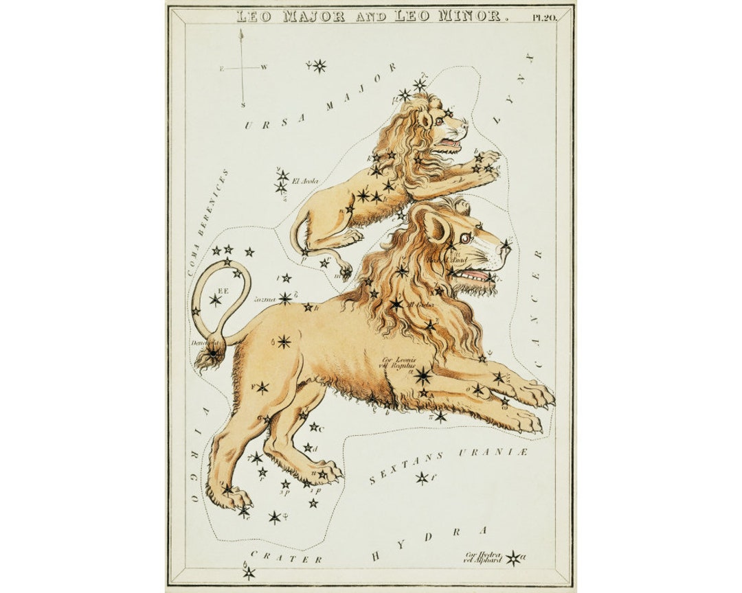 Leo Art Print, Antique Zodiac Chart, Leo Major and Minor, Vintage Lion ...