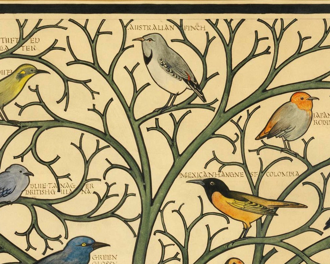 Songbirds Art Print Tree of Life Tropical Bird Painting | Etsy