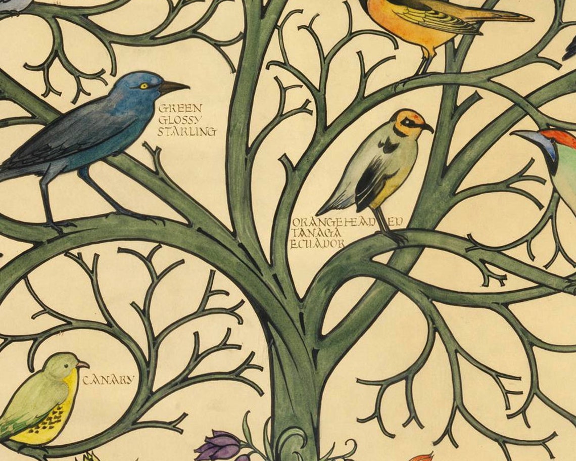 Songbirds Art Print Tree of Life Tropical Bird Painting | Etsy