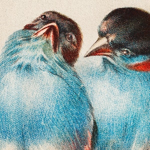Songbirds Art Print, A Perch of Birds by Hector Giacomelli, Bird Lover ...