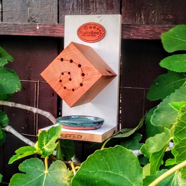 Carpenter Bee Trap - Etsy