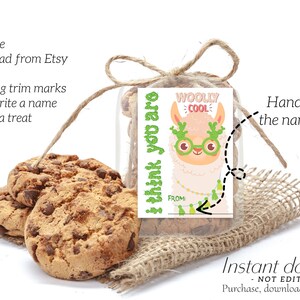 Printable Llama Valentine Tags, Alpaca Valentine Cards for Kids ...