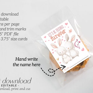 Printable Bunny Valentine Tags, Bunny Valentine Cards for Kids ...