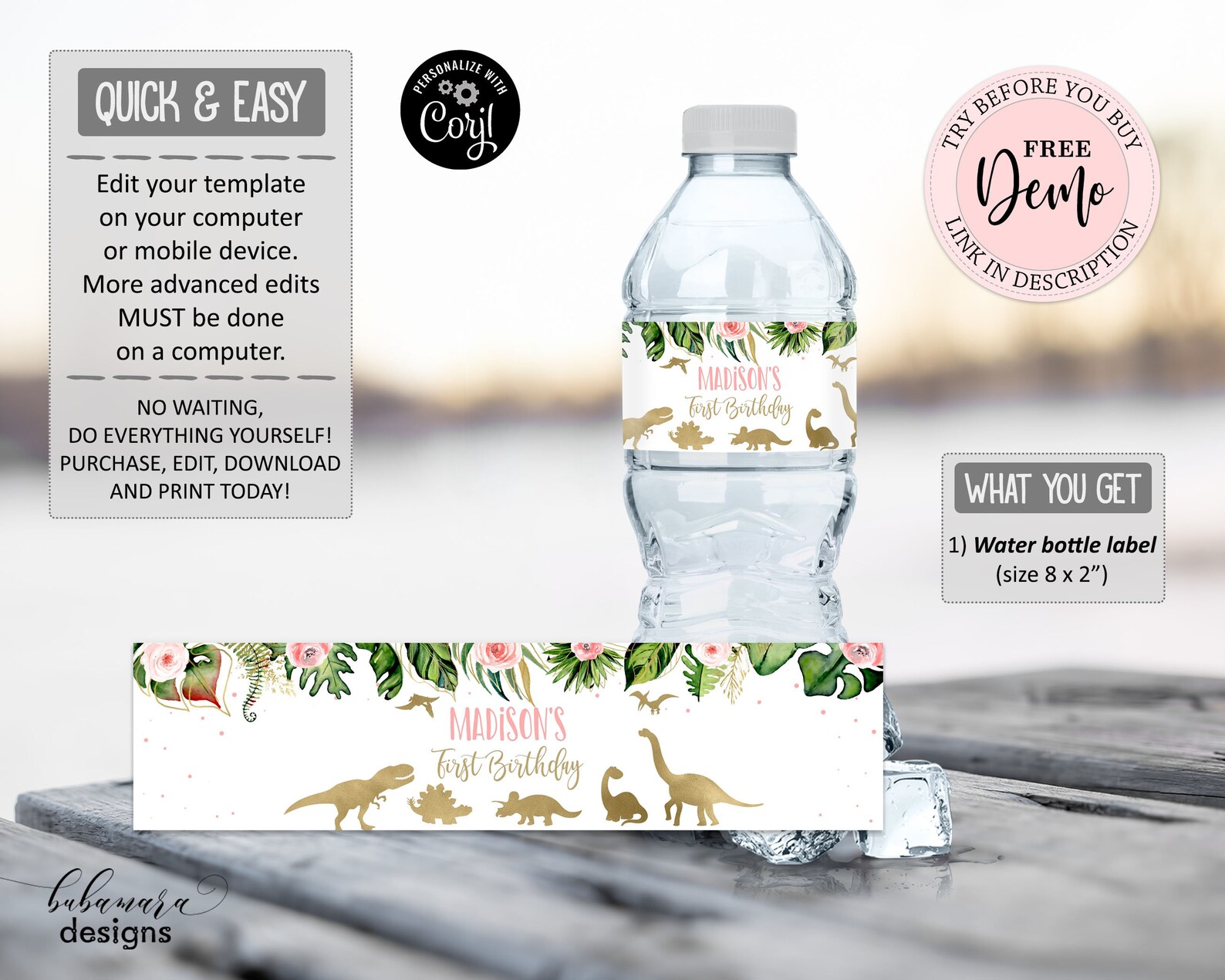 Dinosaurs Bottle Label Editable Dinos Water Bottle Labels - Etsy