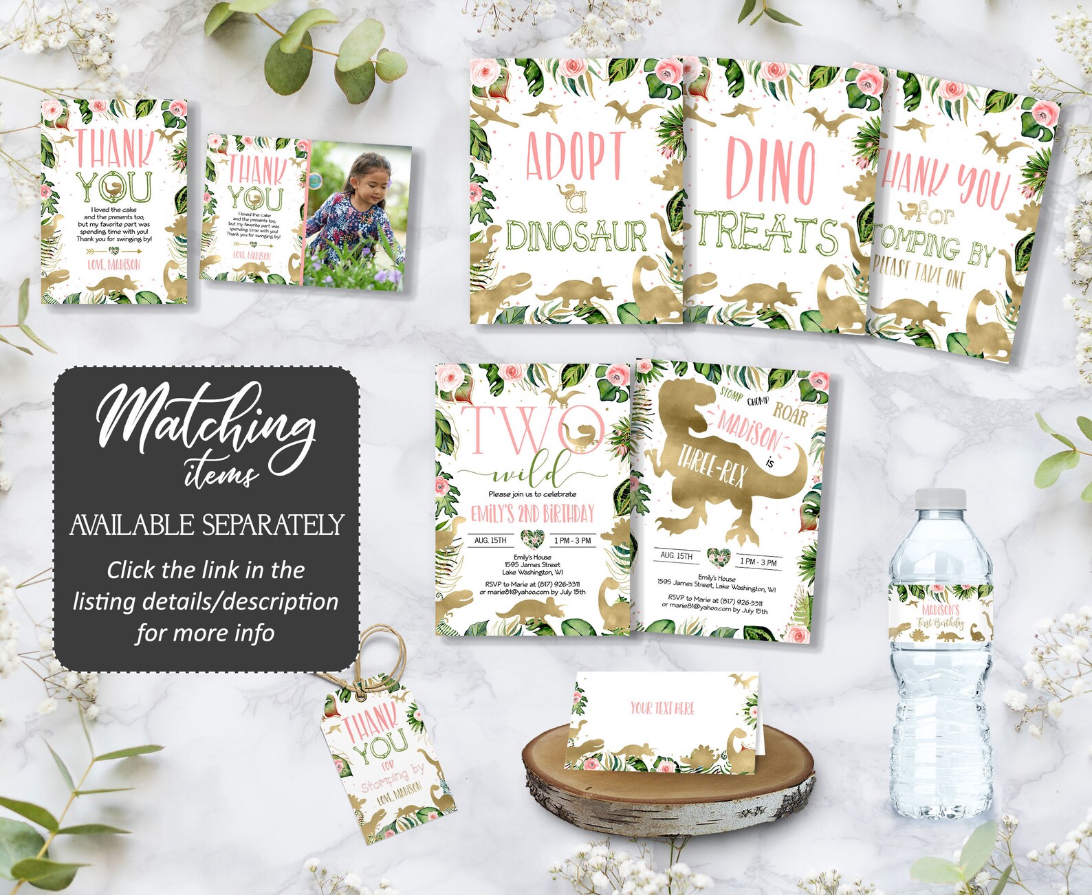 Dinosaurs Bottle Label Editable Dinos Water Bottle Labels | Etsy